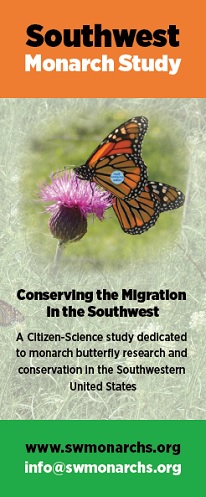 Southwest Monarch Study